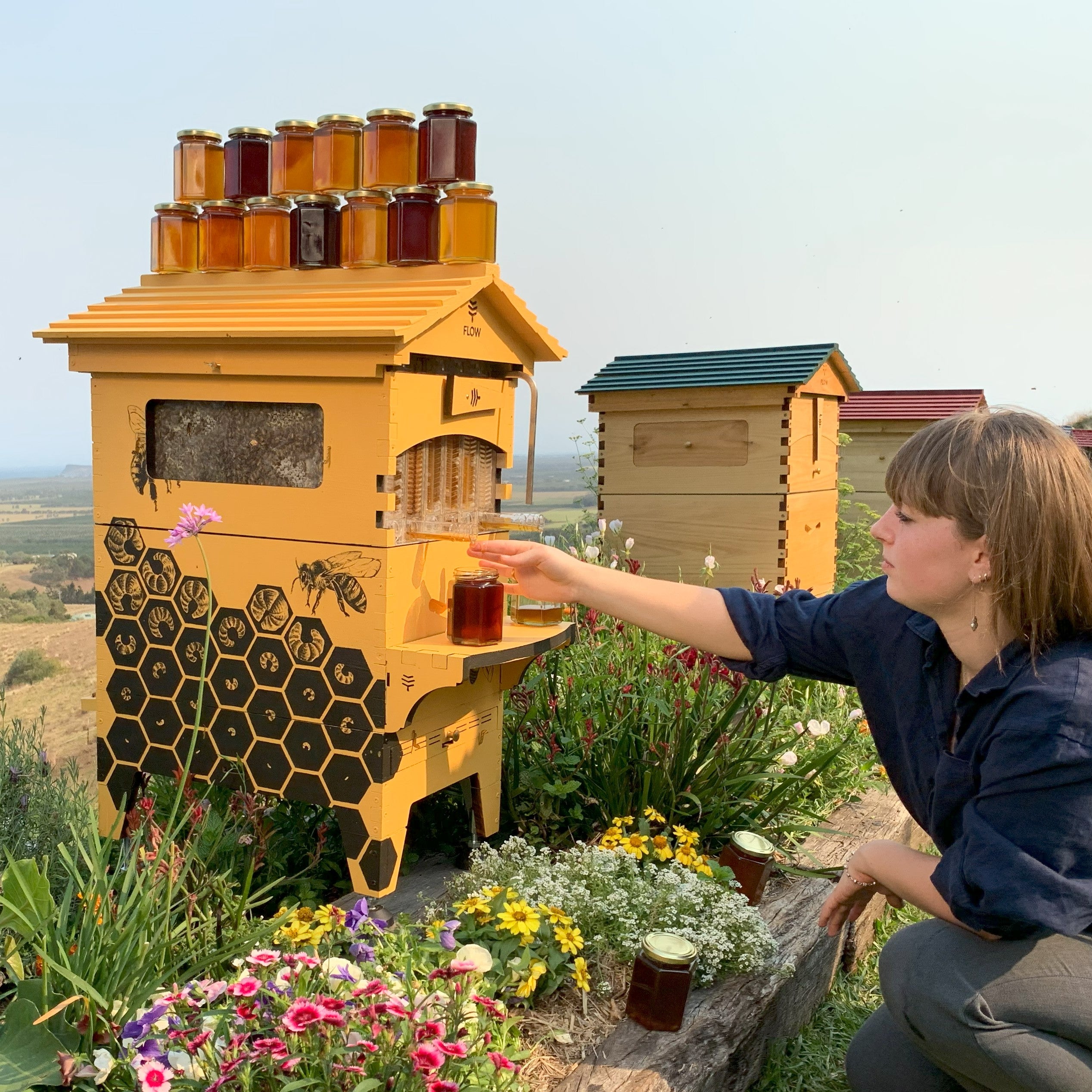 Flow Hive 2 | Starter Bundle - Flow Hive CA