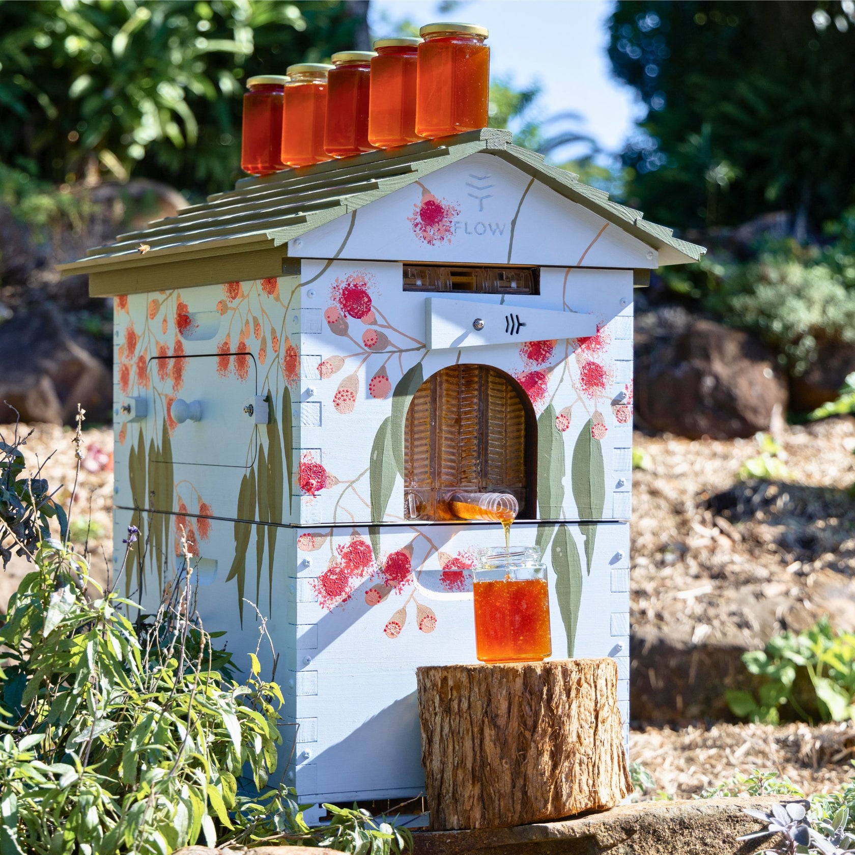 Flow Hive Hybrid | Harvest both fresh honeycomb and honey - Flow Hive CA