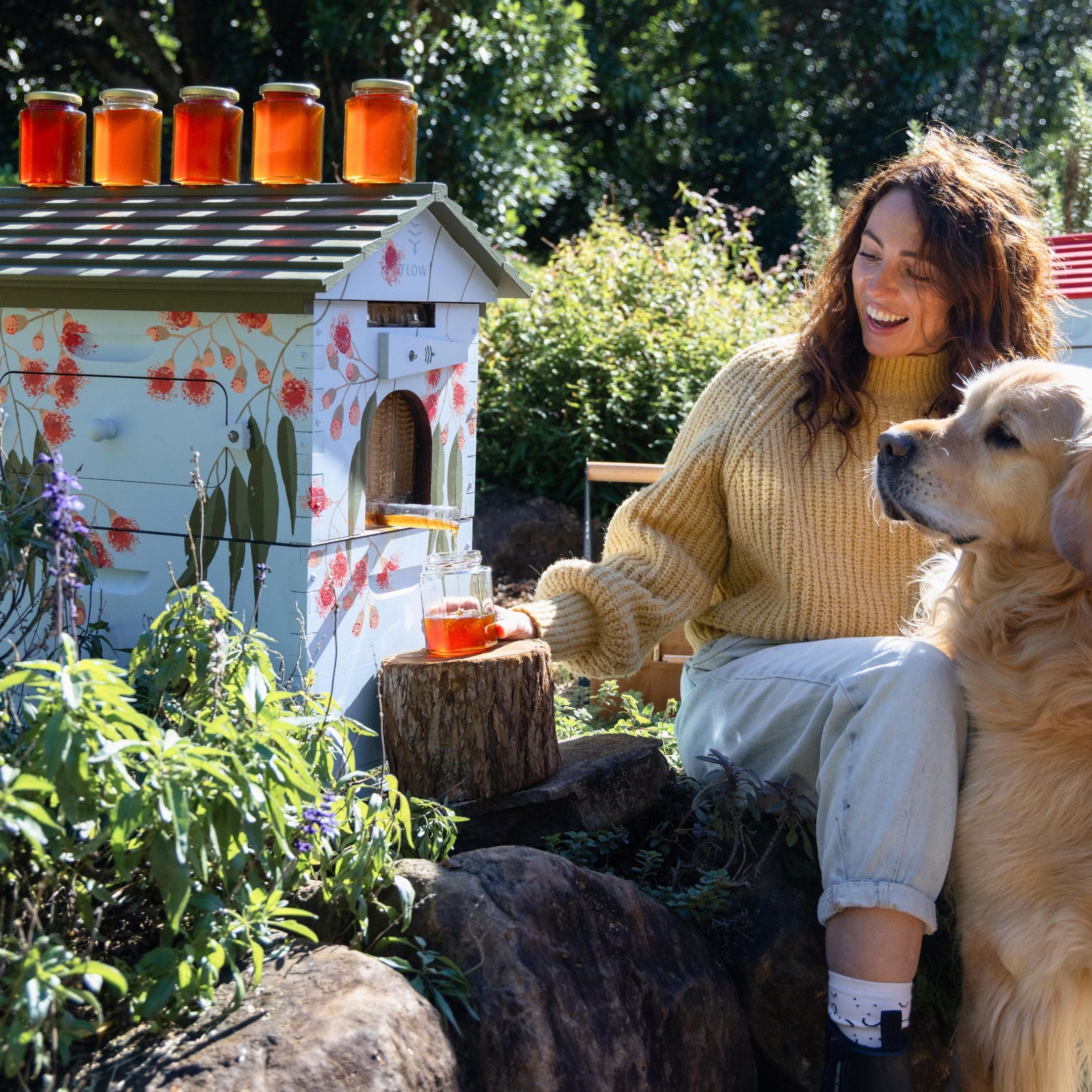 Flow Hive Hybrid | Harvest both fresh honeycomb and honey - Flow Hive CA